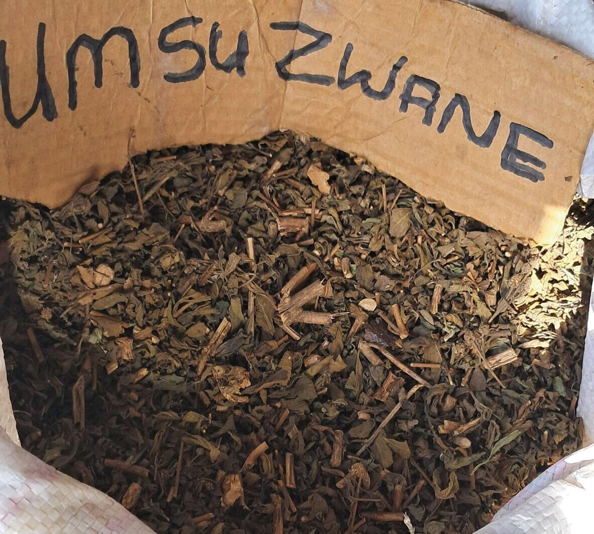 Umsuzwane umuthi – Muthi for Spiritual Cleansing | Igedla