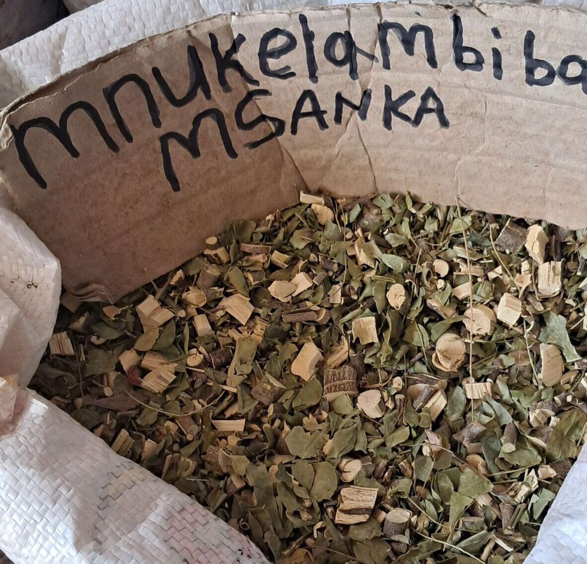 Umnukelambiba – Muthi Wokukhipha Isichitho neSilwane | Igedla