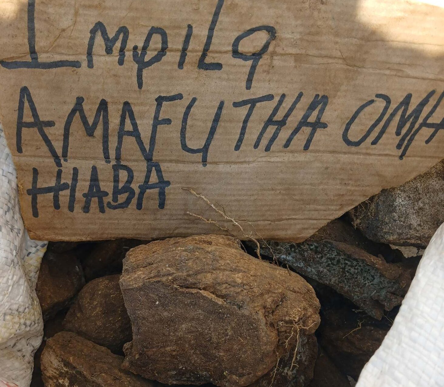 Impila – Muthi for Spiritual Cleansing & Protection | Igedla