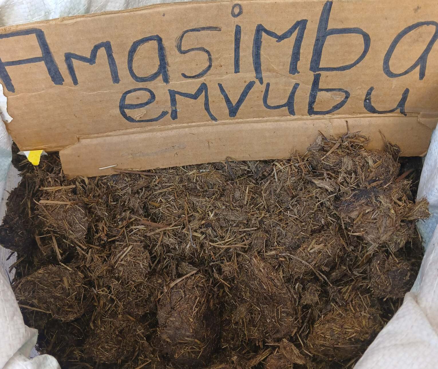 Amasimba emvubu - Igedla
