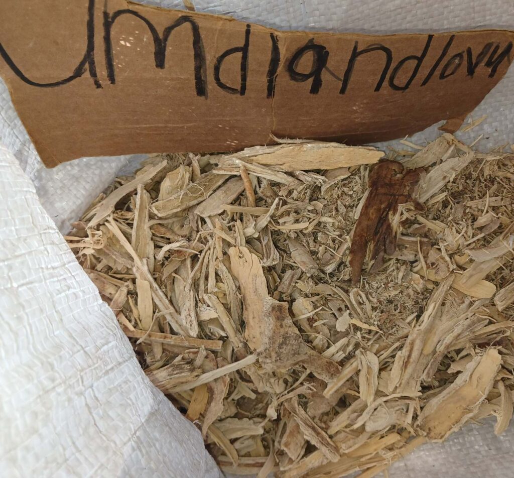 Umdlandlovu umuthi – Umuthi for asking & begging idlozi | Igedla