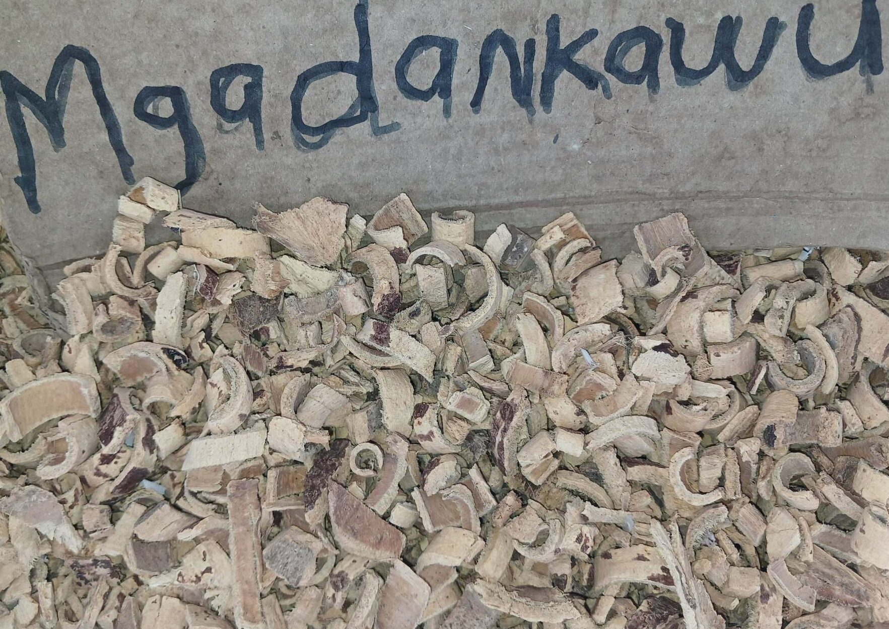 Umgadankawu – Muthi for Money Attraction & Charms | Igedla
