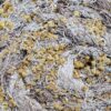 Muthi Shop Online | African Healing Herbs –Igedla