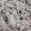 Muthi Shop Online | African Healing Herbs –Igedla